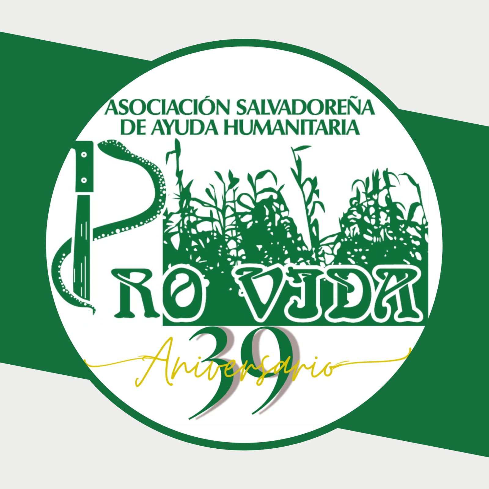 Logo PRO-VIDA -39 años – ASOCIACIÓN PRO-VIDA